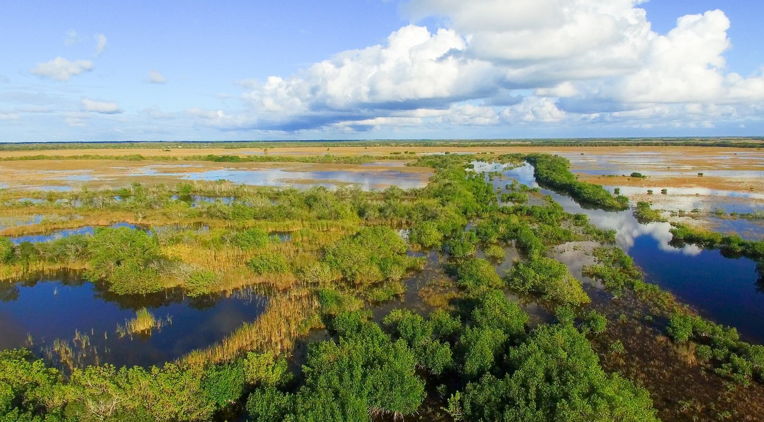 The Everglades Restoration Project